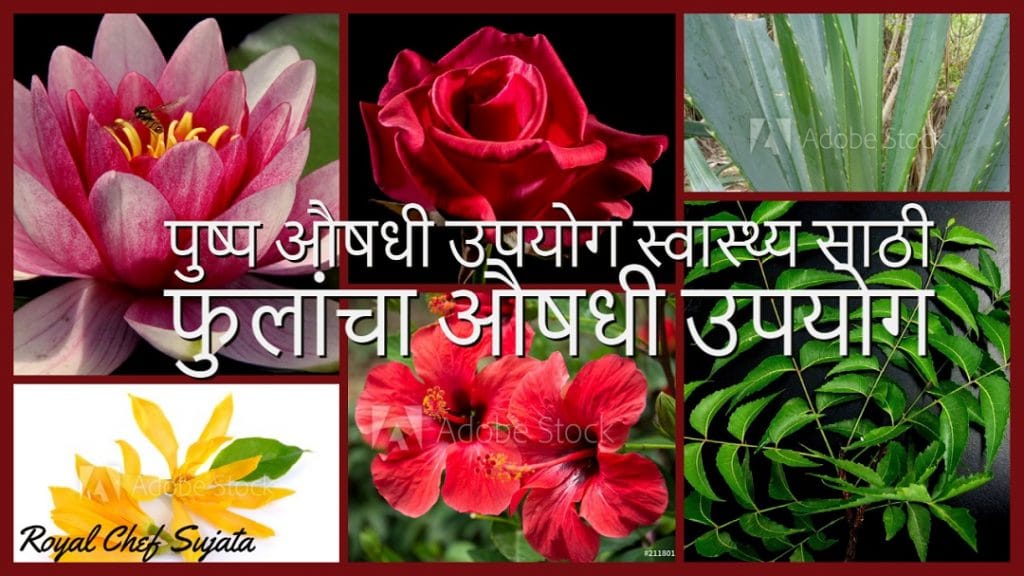 Pushpa Aushadhi Flower Remedies in Marathi - Royal Chef Sujata